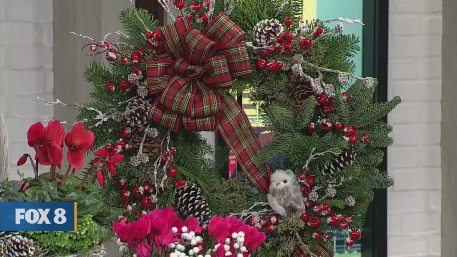 New Day Cleveland: Graf Growers – Fox 8 Cleveland WJW