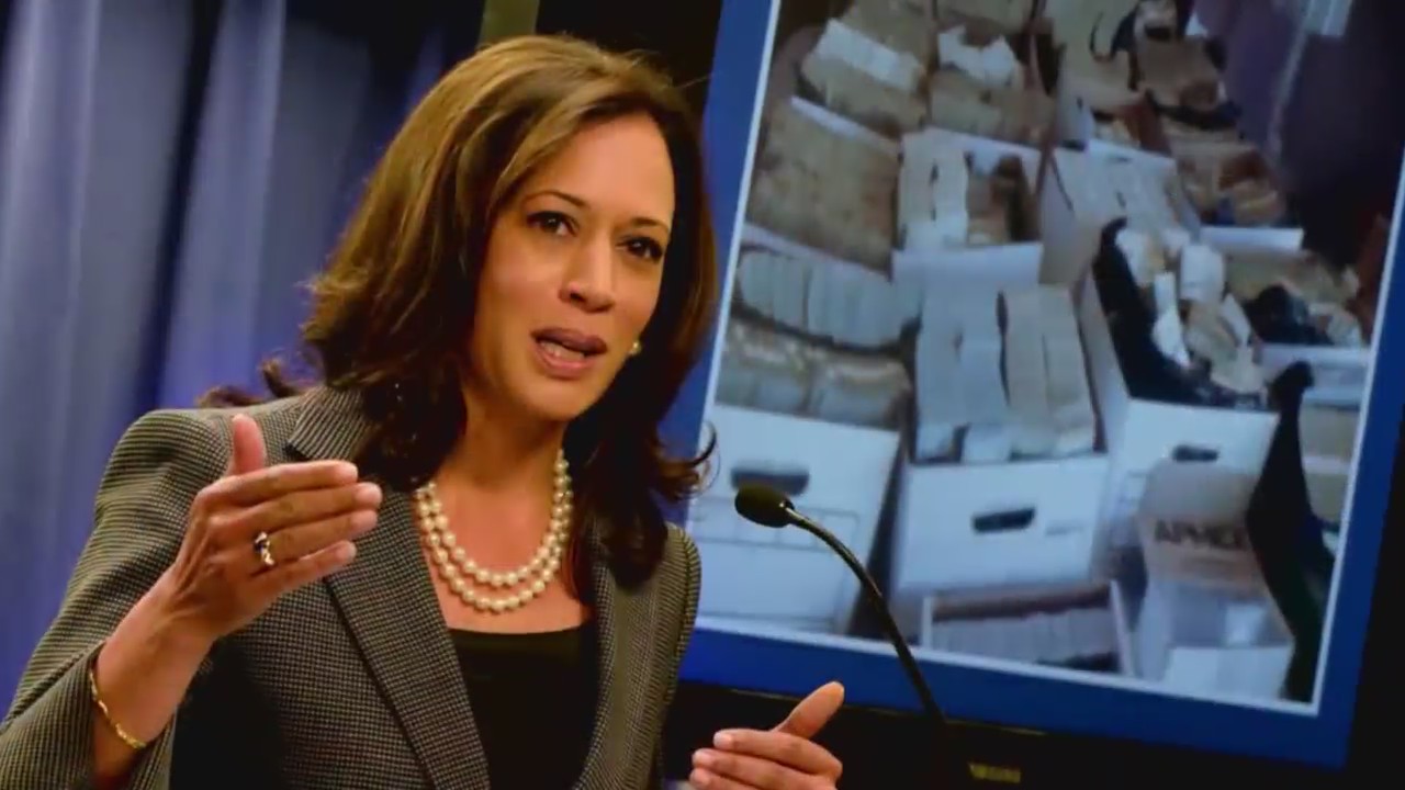 Interview: Local delegate Jennifer Hibit says Kamala Harris has a ...