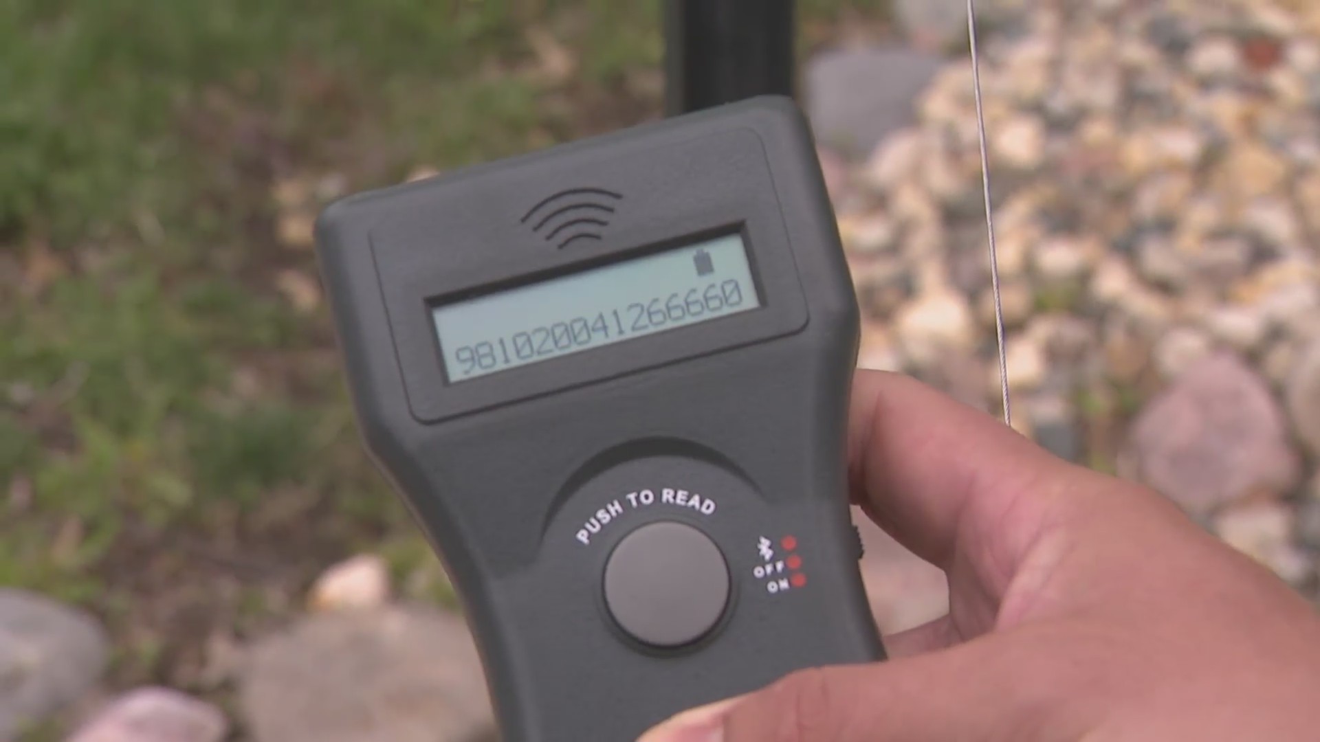 Gardner sets up microchip scanning station for lost pets – FOX 4 Kansas ...