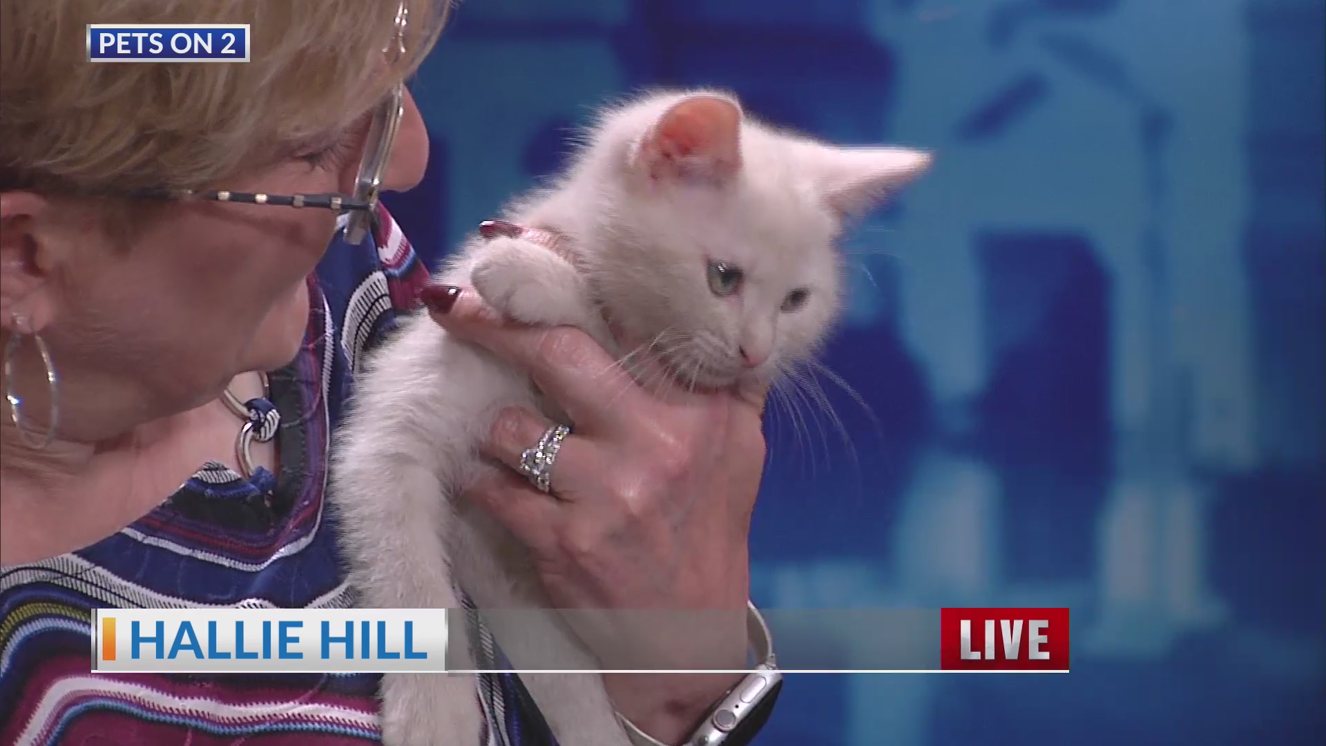 Pets on 2: Hallie Hill – WCBD News 2