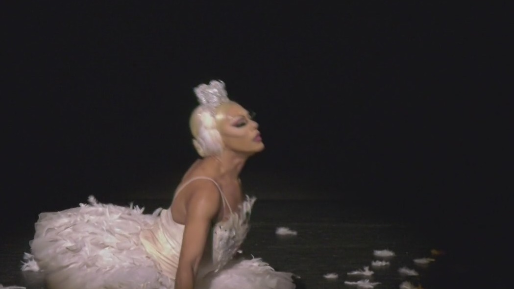 White Bird Dance is taking off – KOIN.com