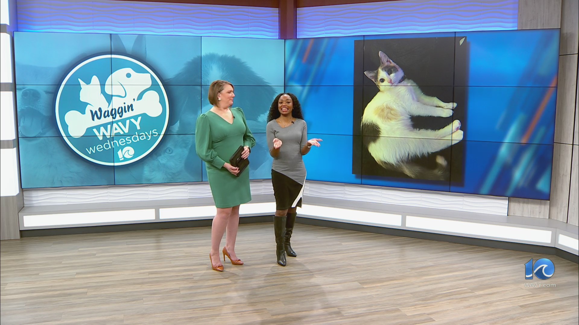 Waggin’ WAVY Wednesday Contest winner | Week of Feb. 9-15 – WAVY.com