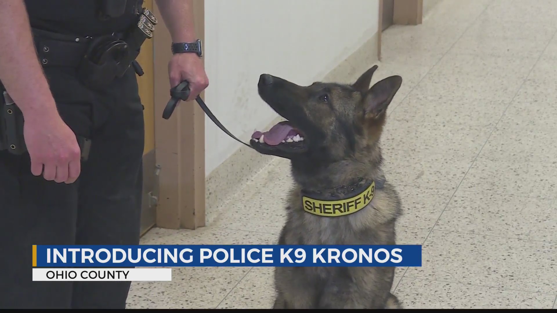 Ohio County Sheriff’s Office welcomes new K9 Kronos – WTRF