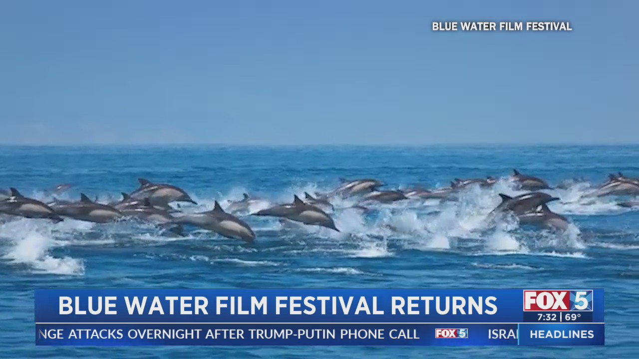 Blue Water Film Festival Returns to San Diego – FOX 5 San Diego & KUSI News