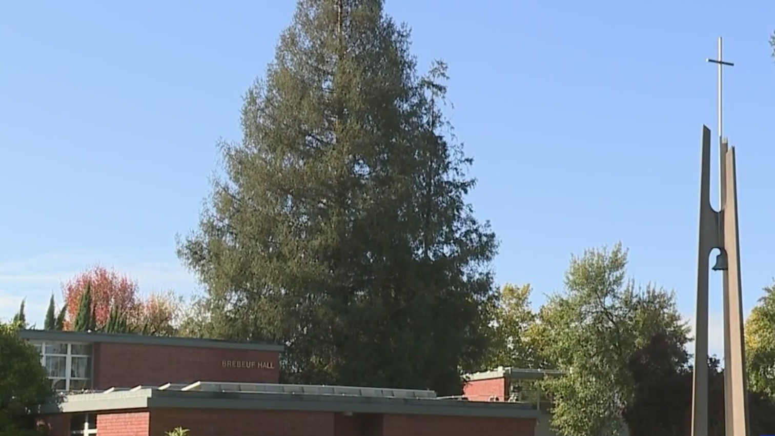 Historically all-boys Jesuit High School expands educational ...