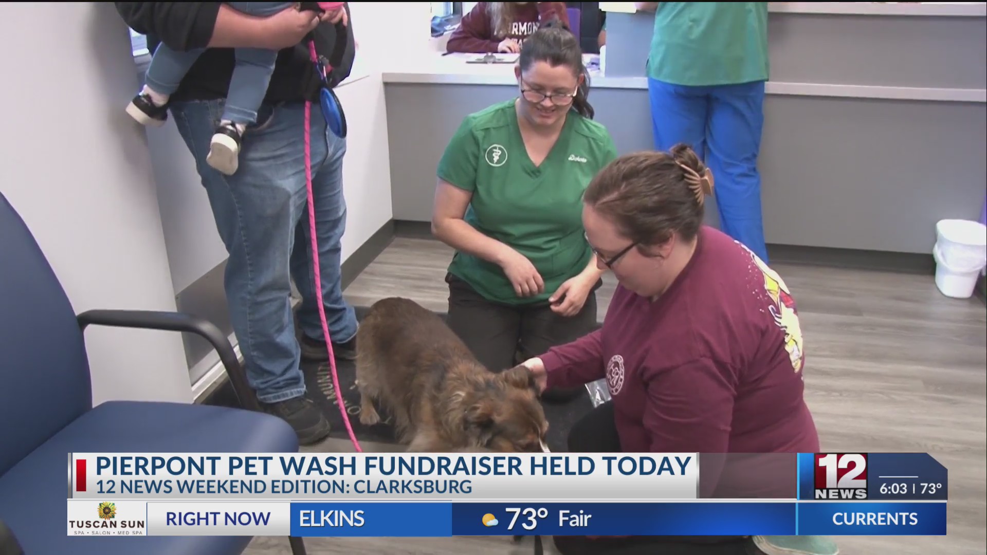 Pierpont vet tech students hold pet washing fundraiser in Clarksburg ...