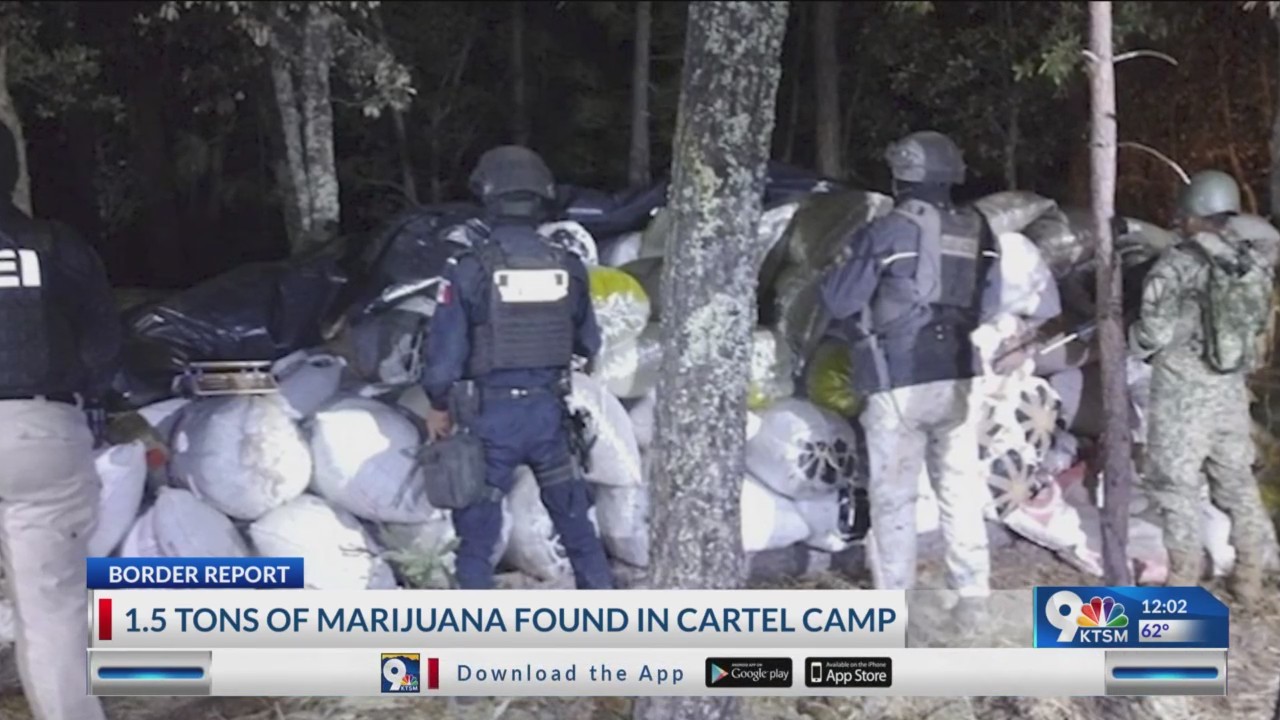 Authorities find 1.5 tons of marijuana in cartel camp – BorderReport