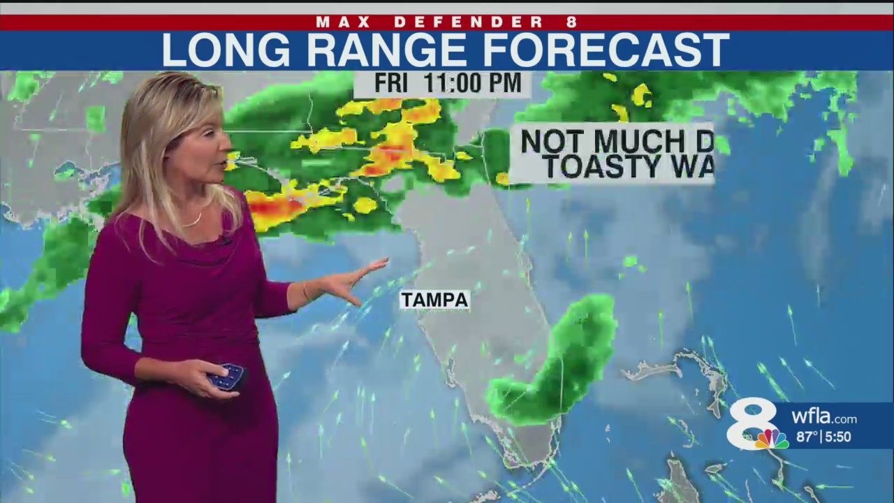 News Channel 8 at 5:00 – WFLA