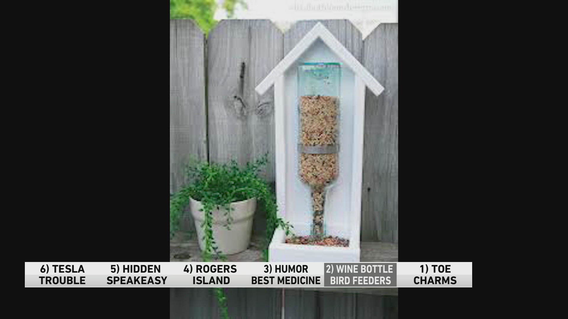 DIY wine bottle bird feeders – WGN-TV