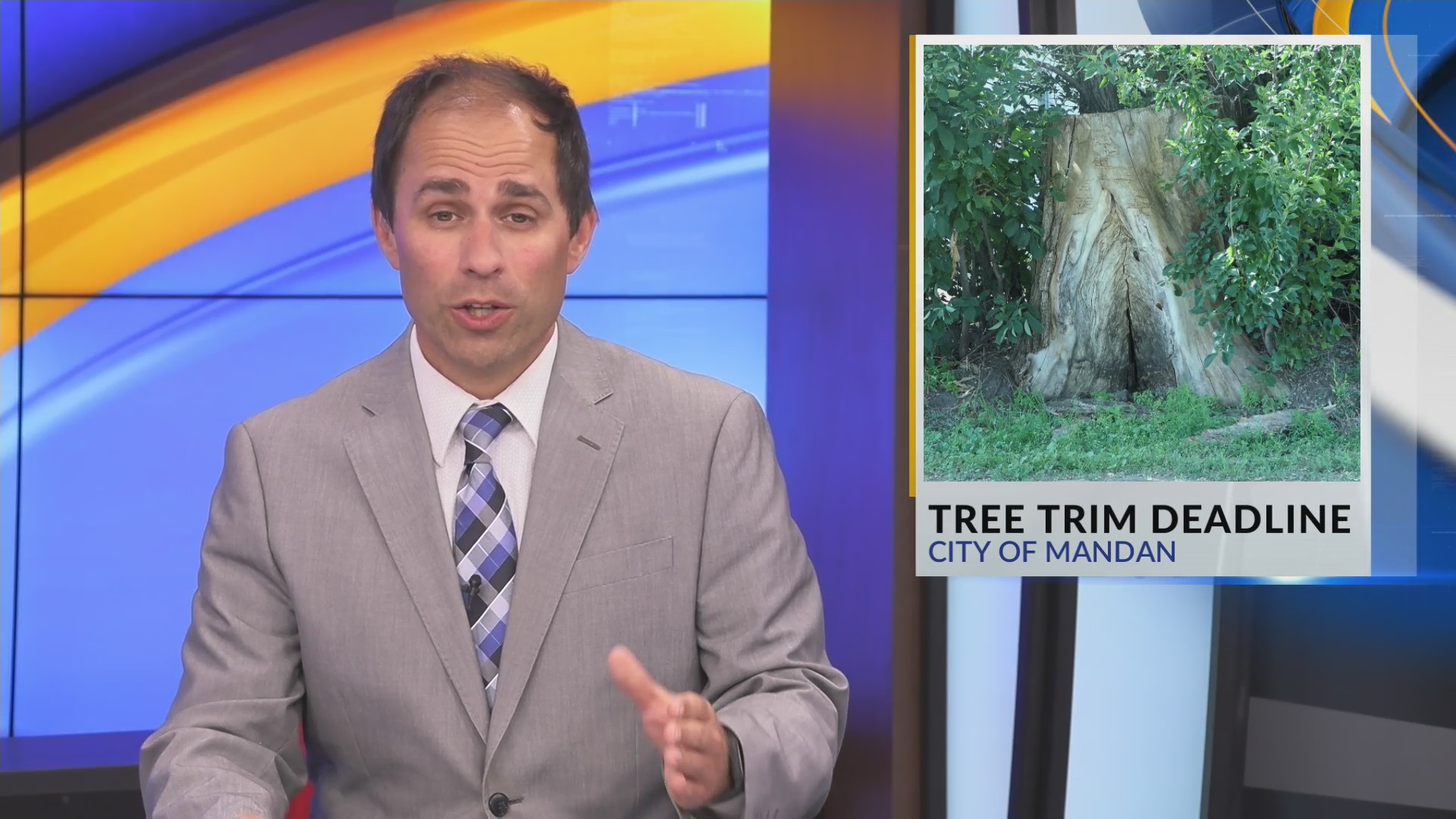 Tree Trim Deadline for City of Mandan – KX NEWS