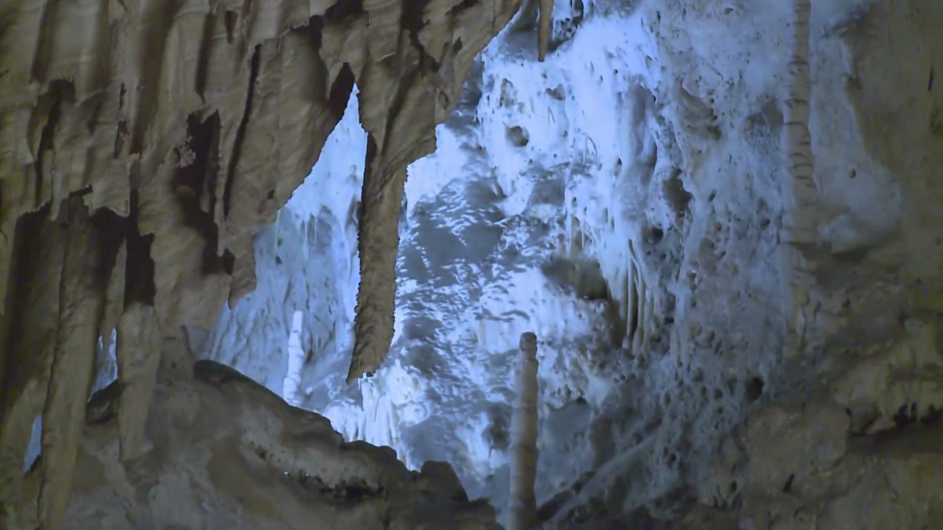 New Mexico officials express alarm as Forest Service sees large layoffs ...