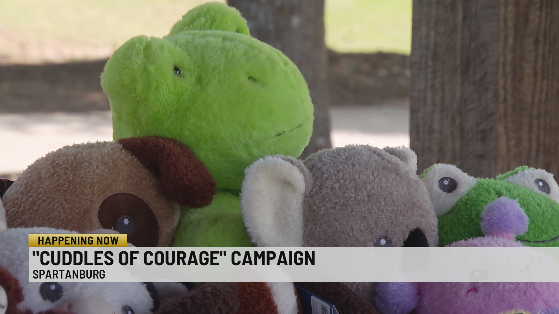 Upstate woman launches Cuddles of Courage campaign for child cancer ...