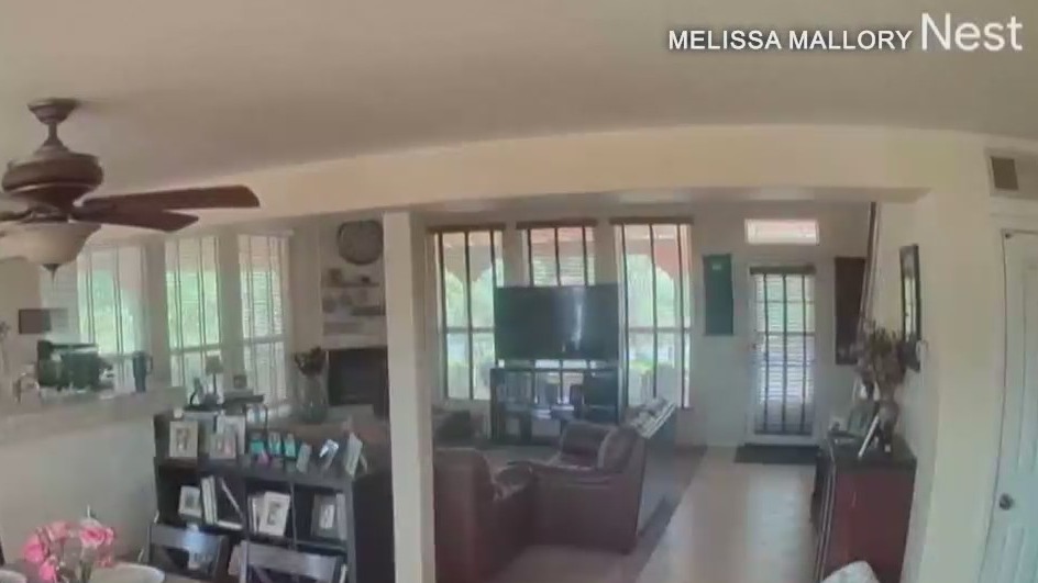 Ramona dogs spooked by earthquake – FOX 5 San Diego & KUSI News