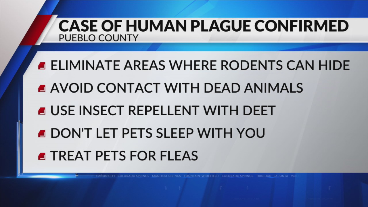 Case of human plague confirmed in Pueblo – FOX21 News Colorado