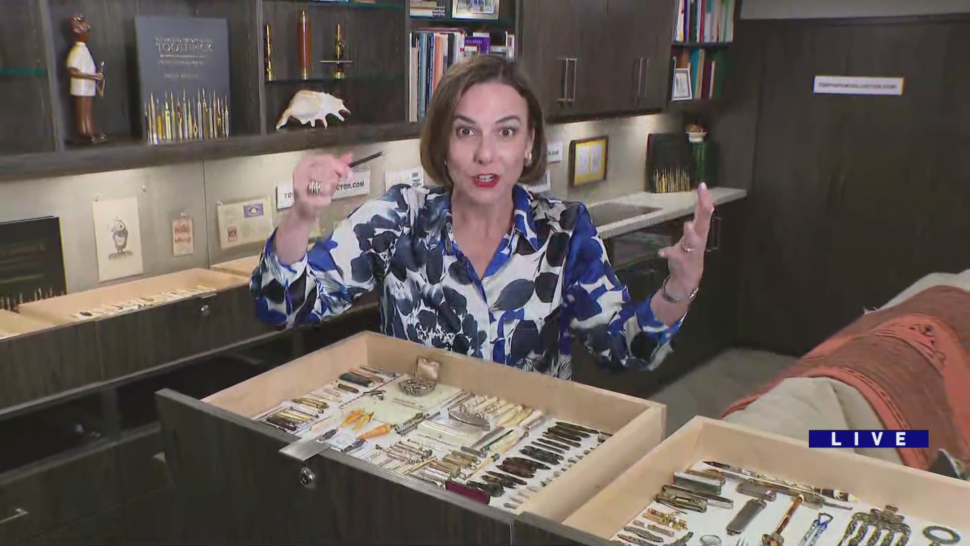 Around Town – The World’s Largest Toothpick Collection – WGN-TV