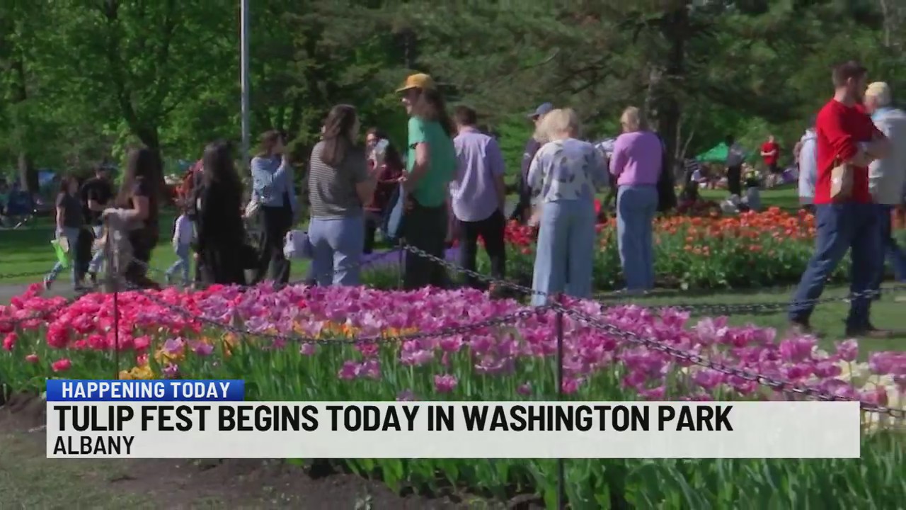 2025 Albany Tulip Festival kicks off, tulip queen crowned – NEWS10 ABC
