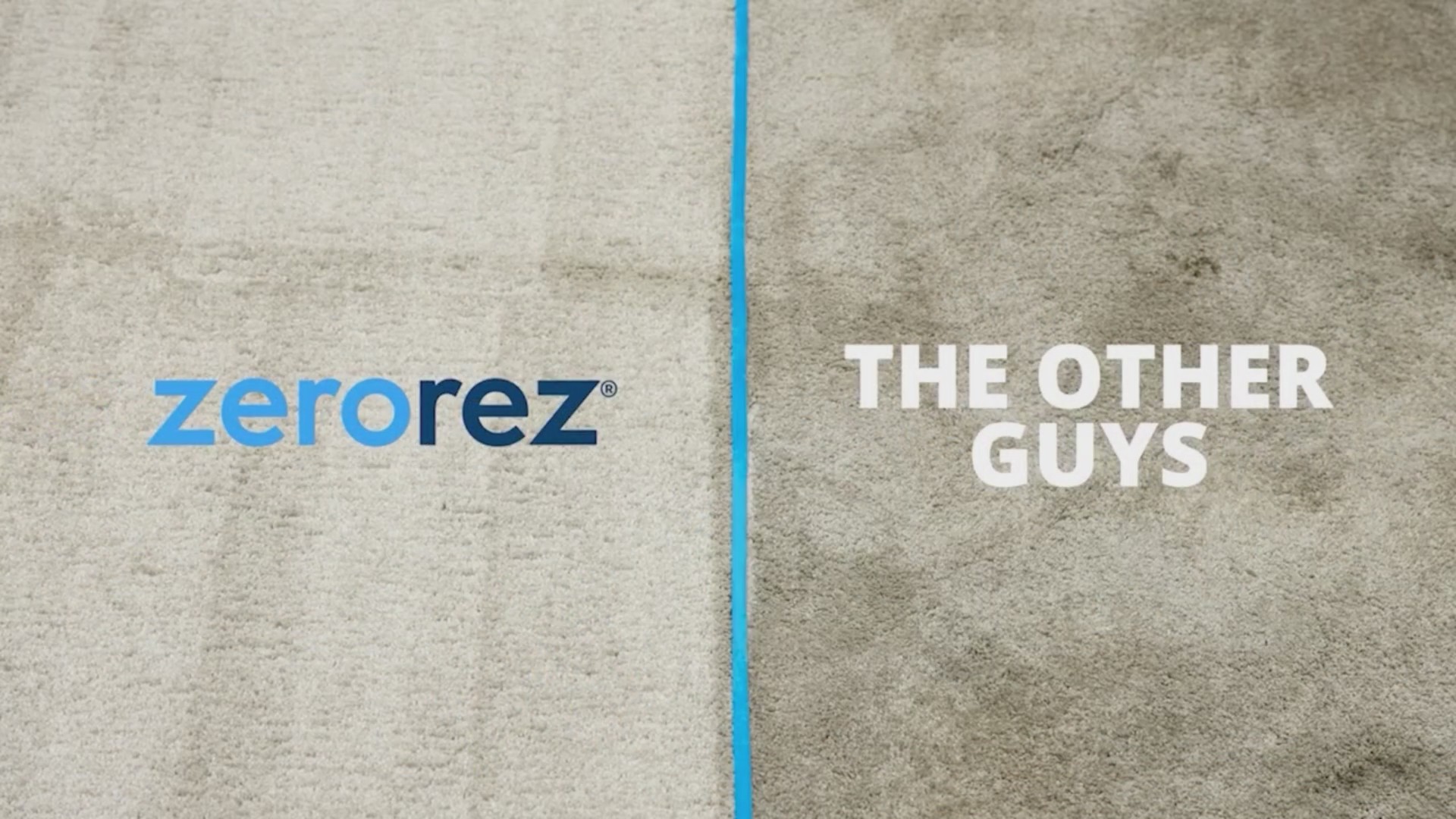 Why You Should Hire The Professionals of Zerorez to Clean Your Carpets ...