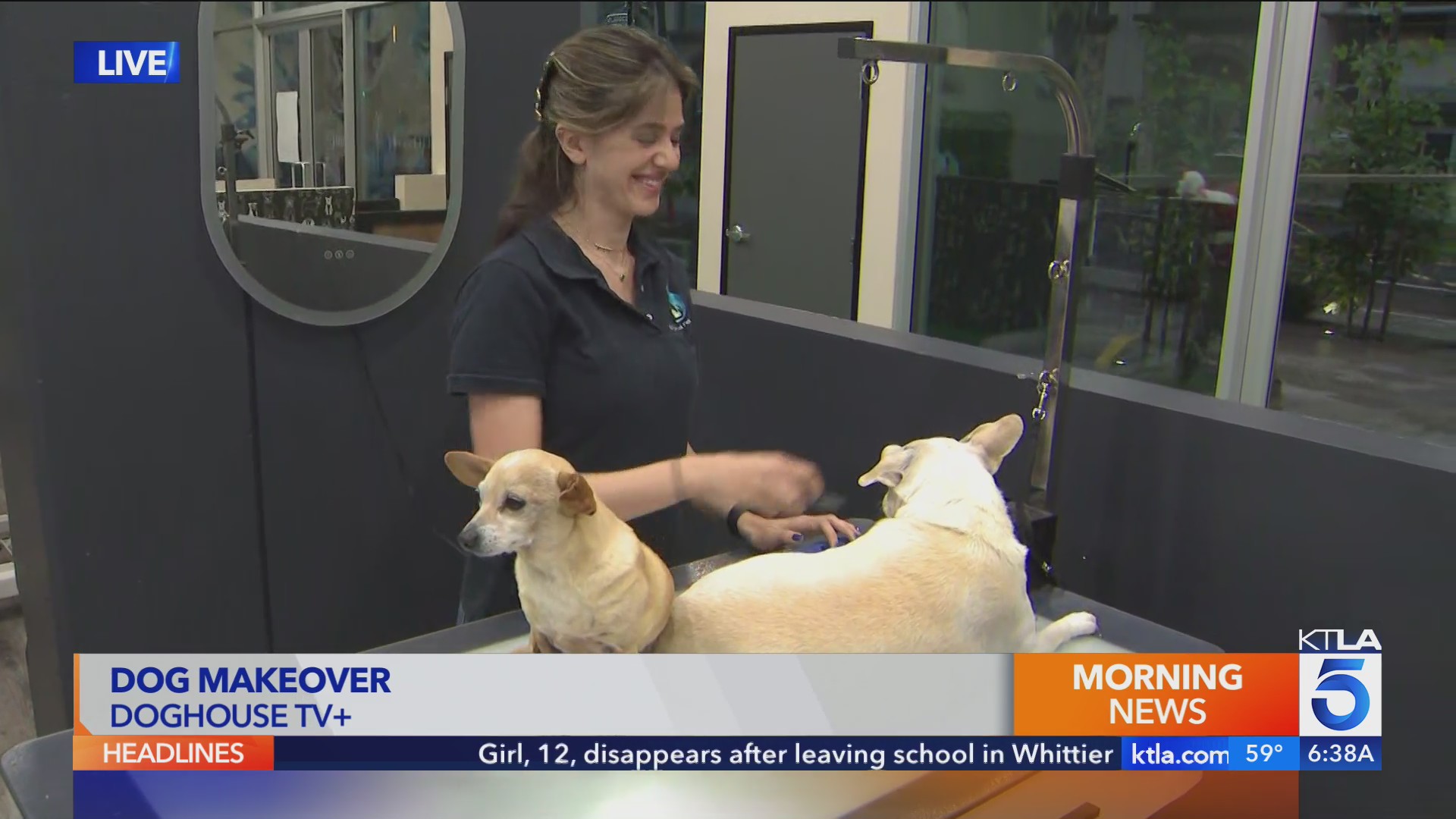 Dog Show Makeover – KTLA