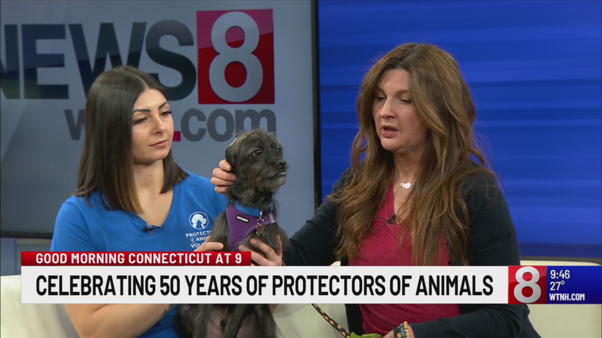 Protectors of Animals celebrate 50 years with fundraiser – WTNH.com