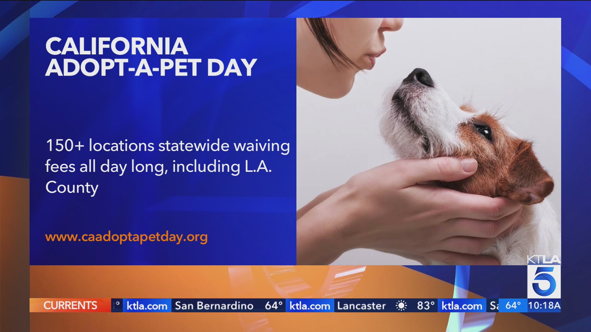 California to celebrate Adopt-a-Pet Day on Saturday – KTLA