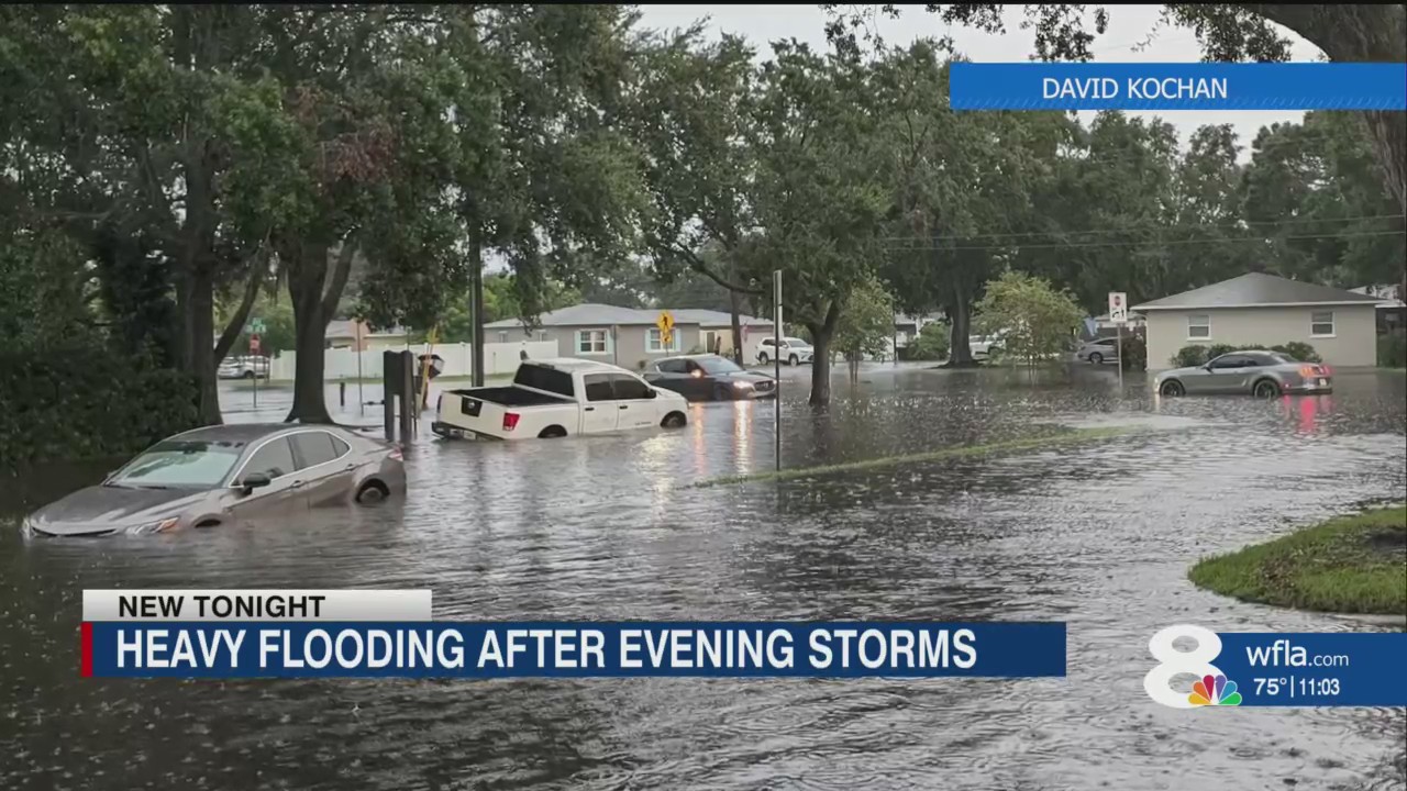 Summer storm caused widespread flooding across bay area – WFLA