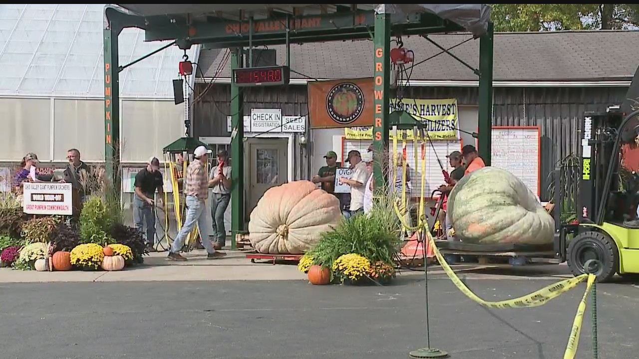 Local pumpkin contest winner 18 lbs shy of world record holder – WKBN.com