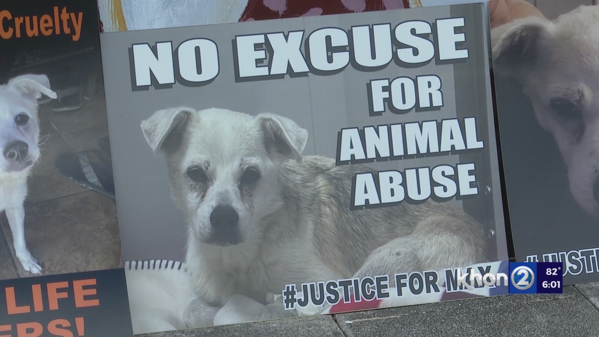 Hawaii’s lax animal cruelty laws could be overhauled – KHON2