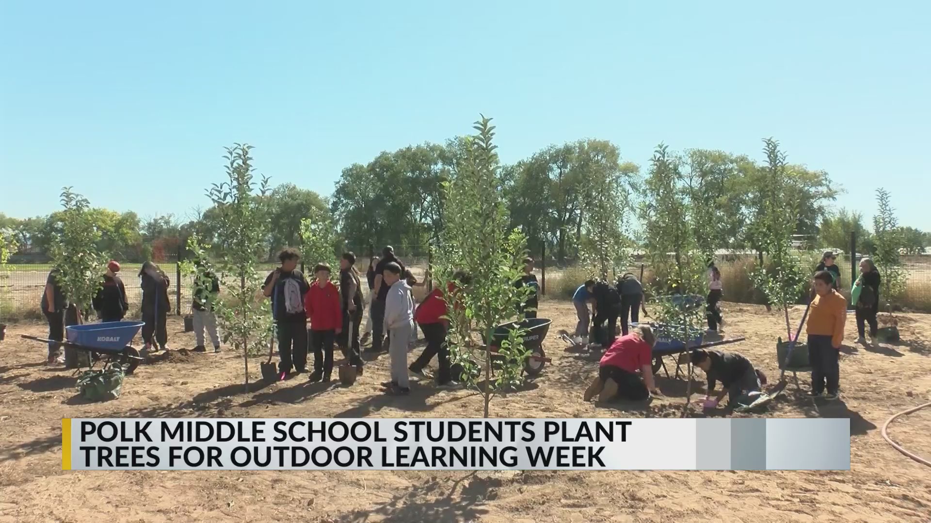 Polk Middle School students plant trees for Outdoor Learning Week ...