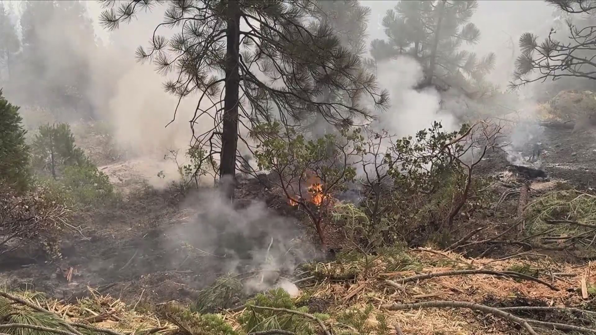 The Garnet Fire is almost fully contained: ‘We are heavily focusing on ...