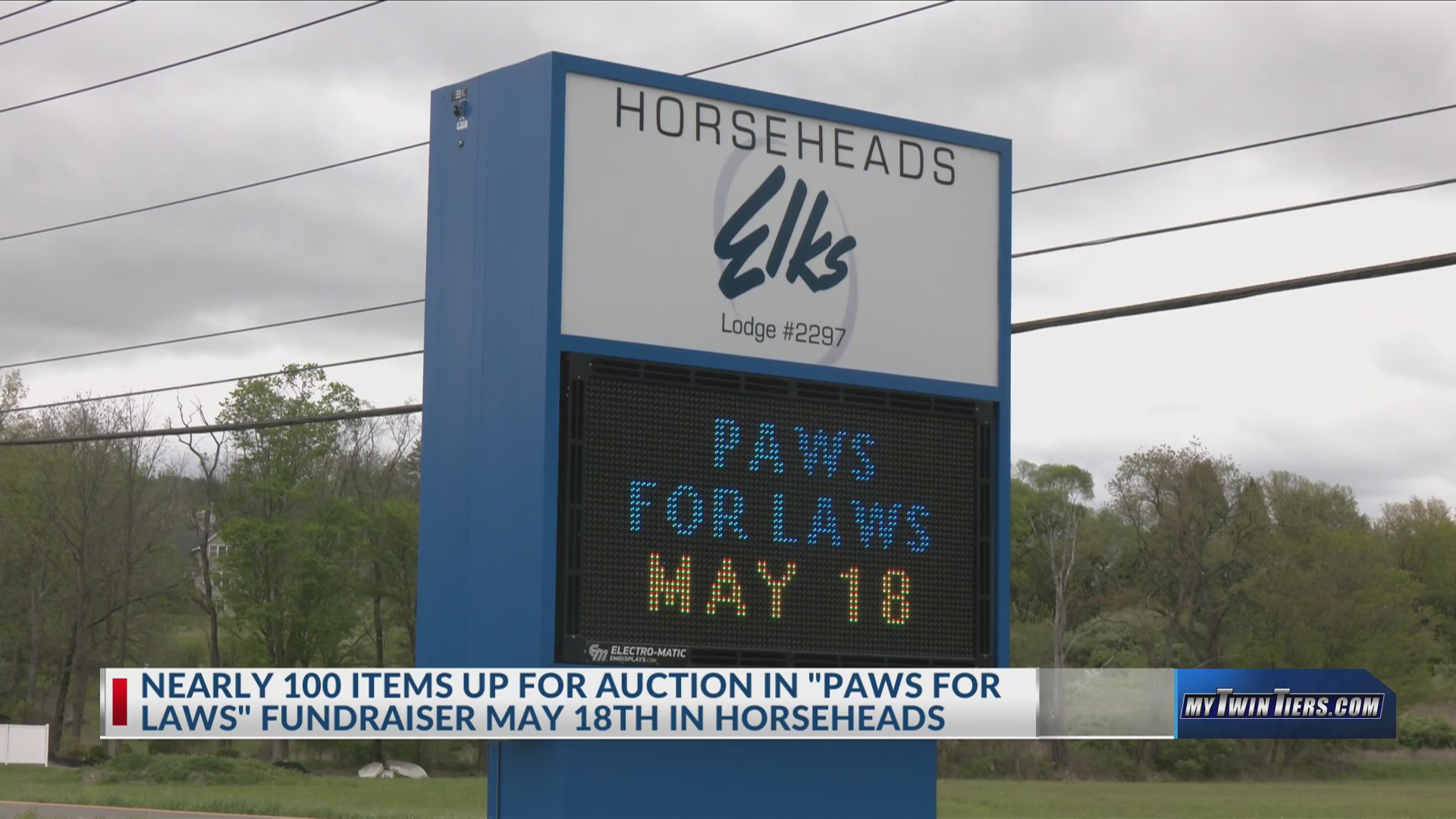 Auction items revealed for “Paws for Laws” fundraiser in Horseheads ...
