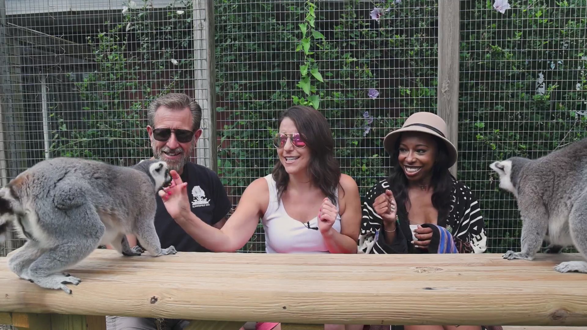 Summerfield Zoo Offers Capybara, Sloth, Lemur, and Kangaroo Encounters ...