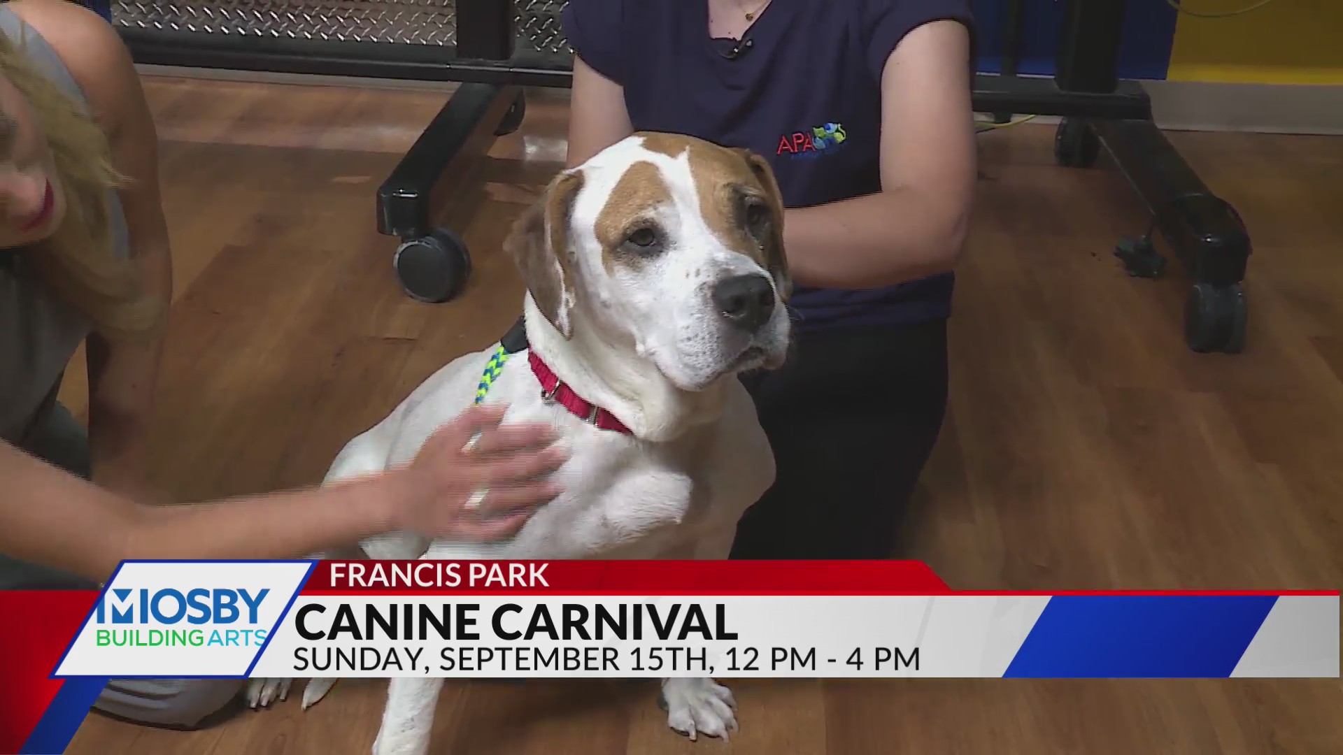 Pet of the Week: Starla the Dog – FOX 2