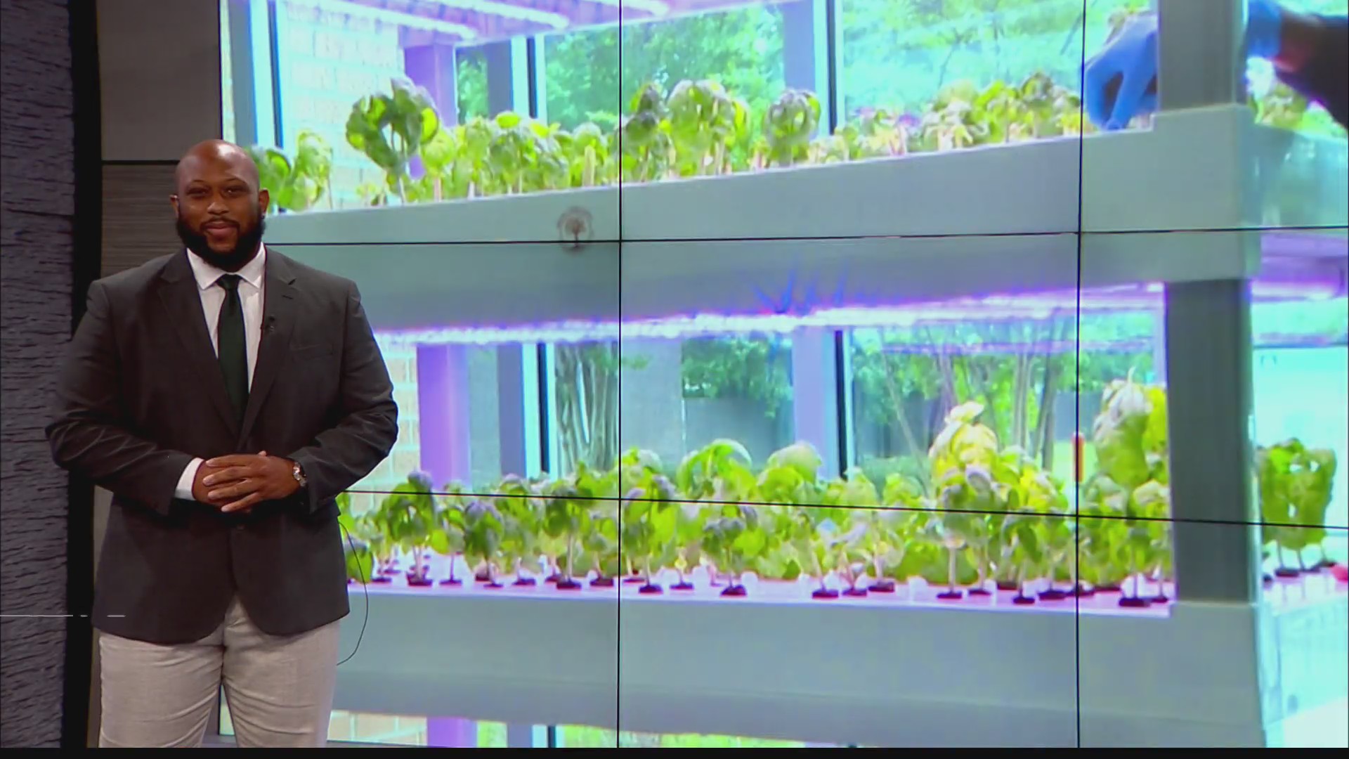 AU researcher combats food swamps with micro farm at Georgia Cancer ...