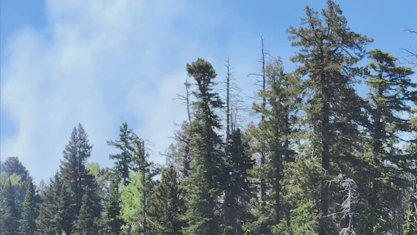 10K Fire in Sandia Mountains 70% contained – KRQE NEWS 13 – Breaking ...