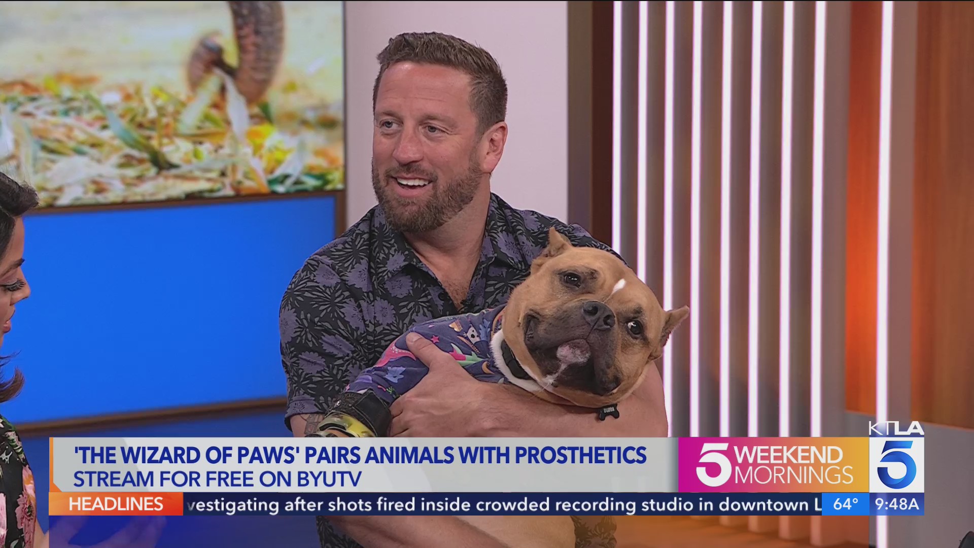 Emmy-nominated ‘The Wizard of Paws’ announces Season 7 – KTLA