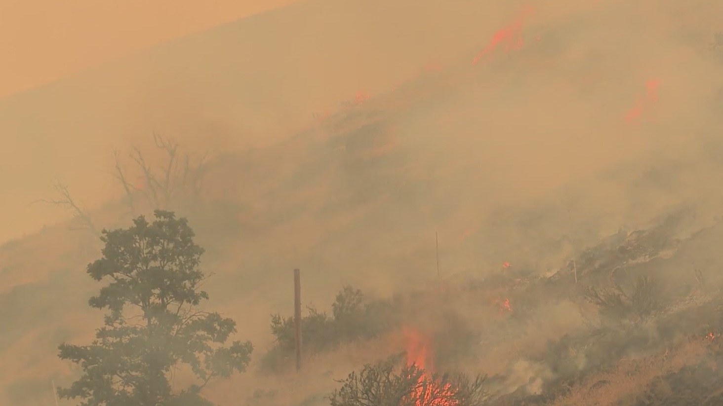 Larch Creek Fire grows to 10 square miles, new evacuations in place ...