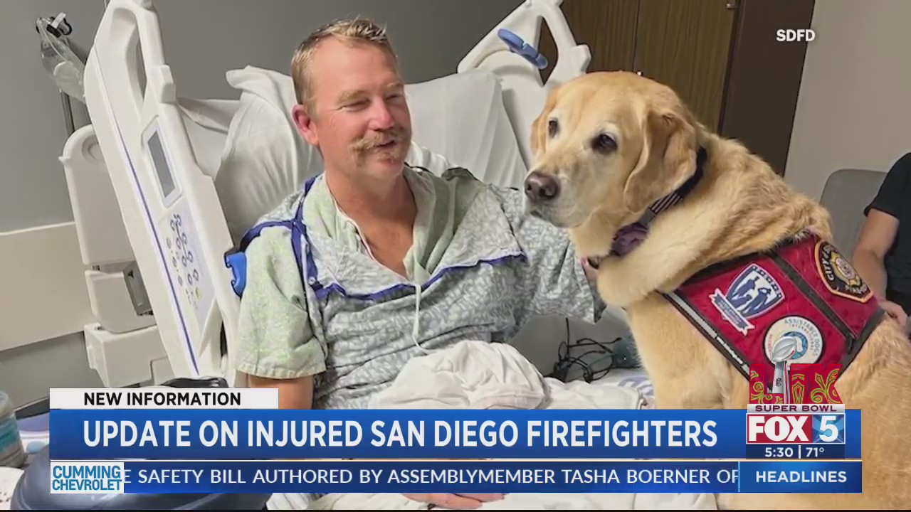 Injured SDFD Captain released from hospital after major crash en route ...