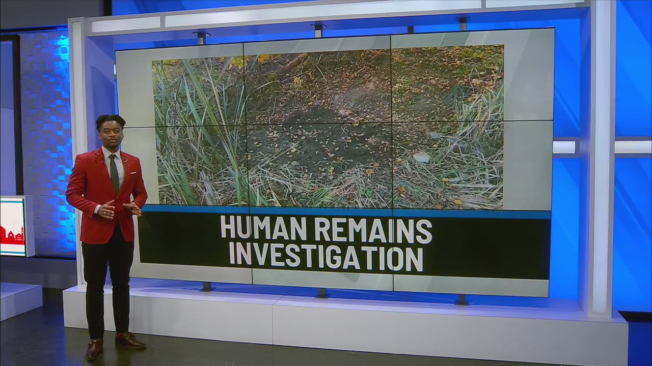 Troy human remains investigation continues – NEWS10 ABC