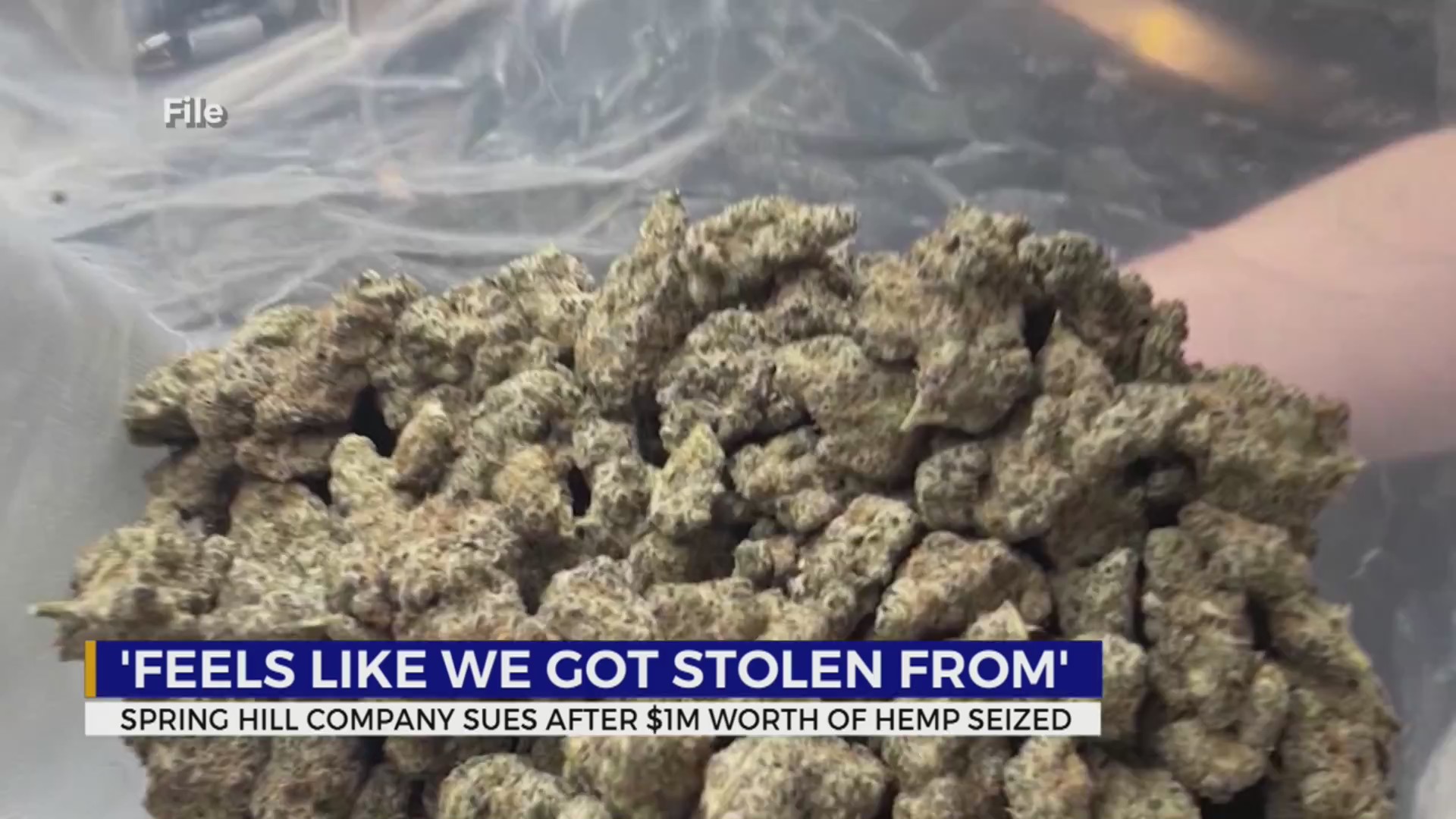 Spring Hill company sues after $1 million worth of hemp seized – WKRN ...