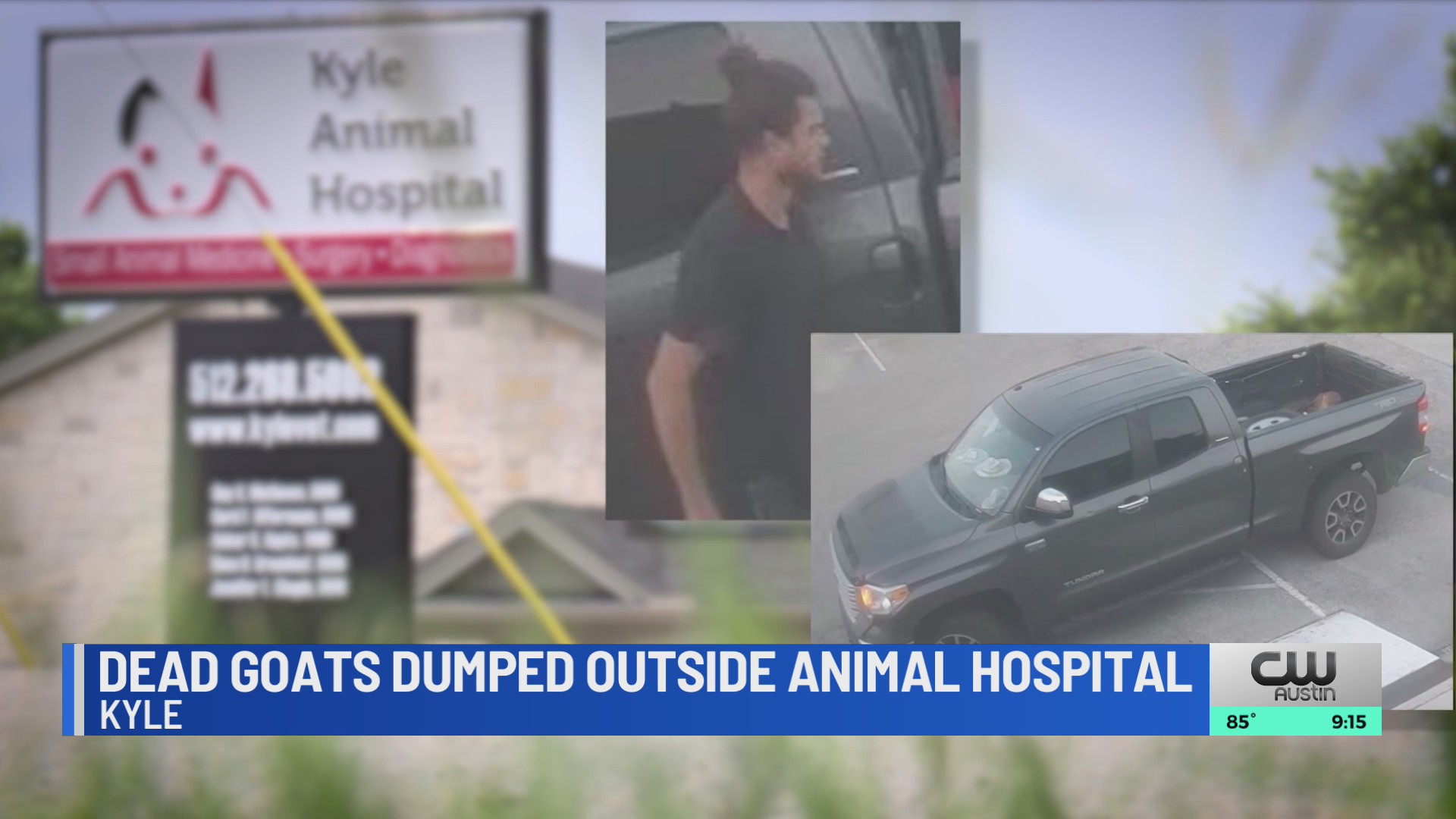 Two dead goats dumped outside Kyle Animal Hospital – KXAN Austin