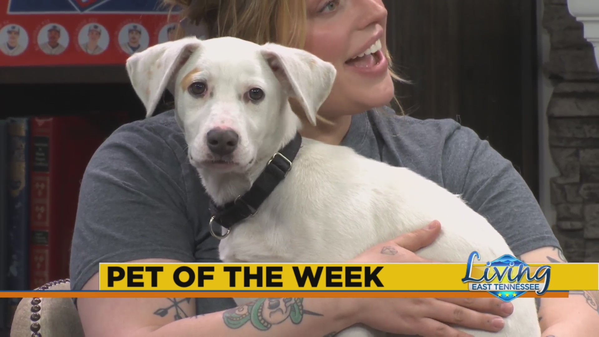 Pet of the Week – WATE 6 On Your Side