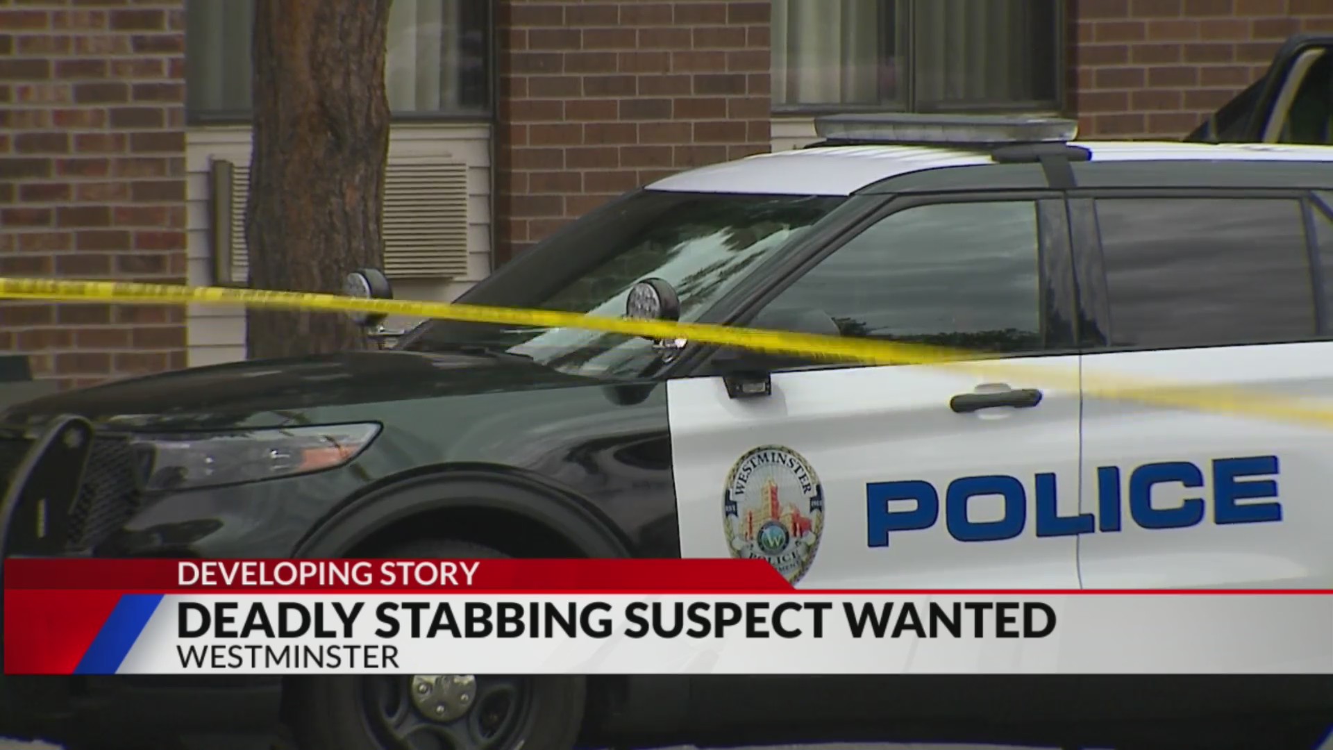 Deadly stabbing suspect wanted in Westminster – FOX31 Denver