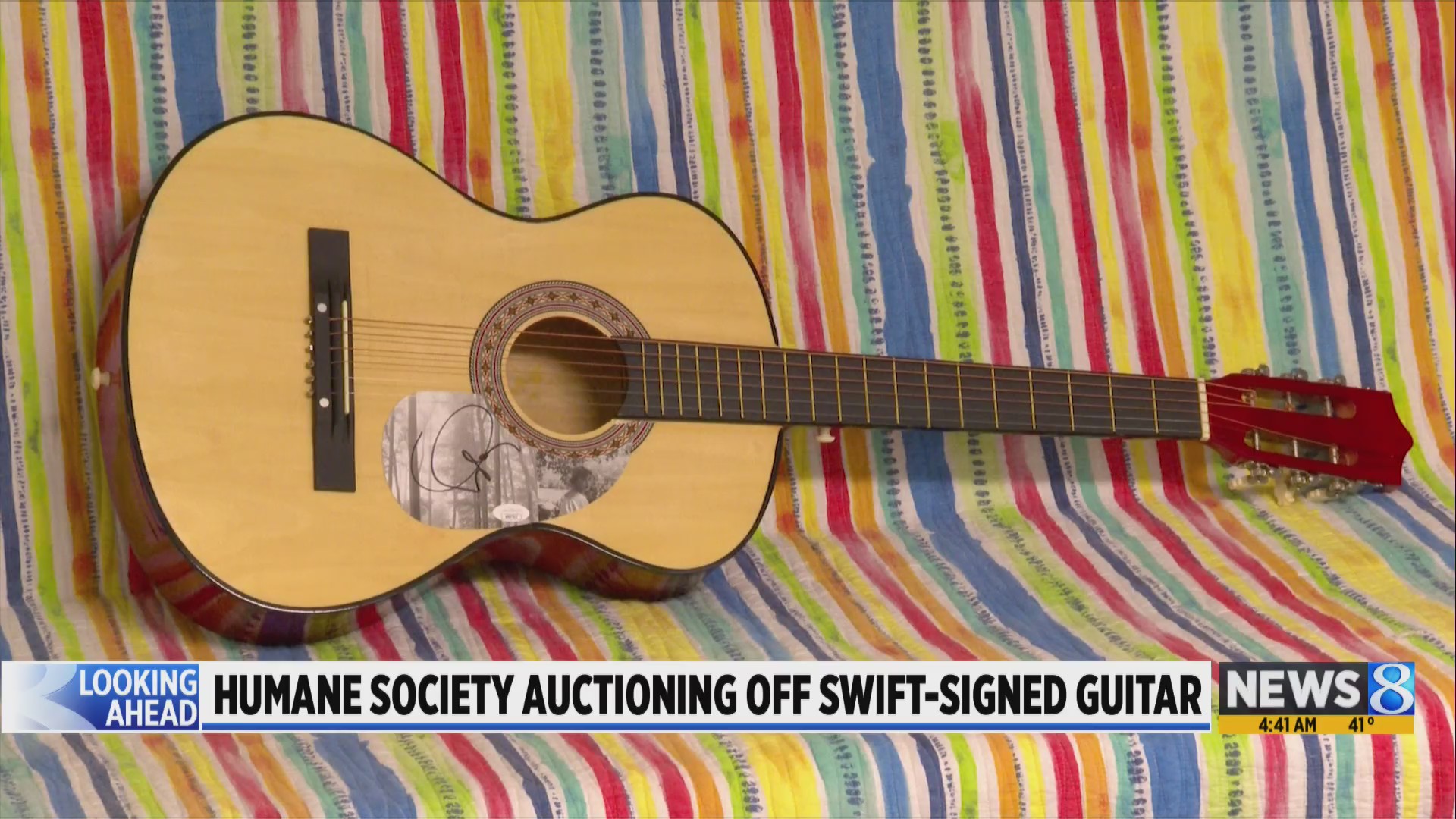Muskegon humane society auctioning off Taylor Swift-signed guitar ...
