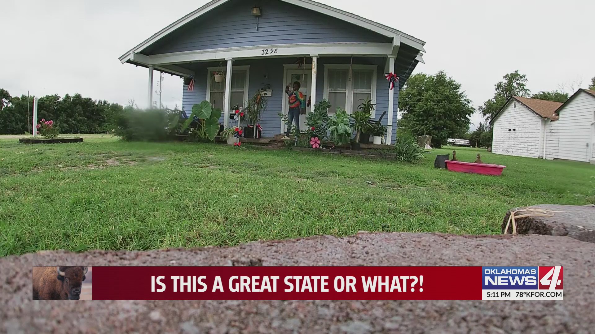 An Enid gardener stakes a bold claim on Oklahoma’s tallest collard ...