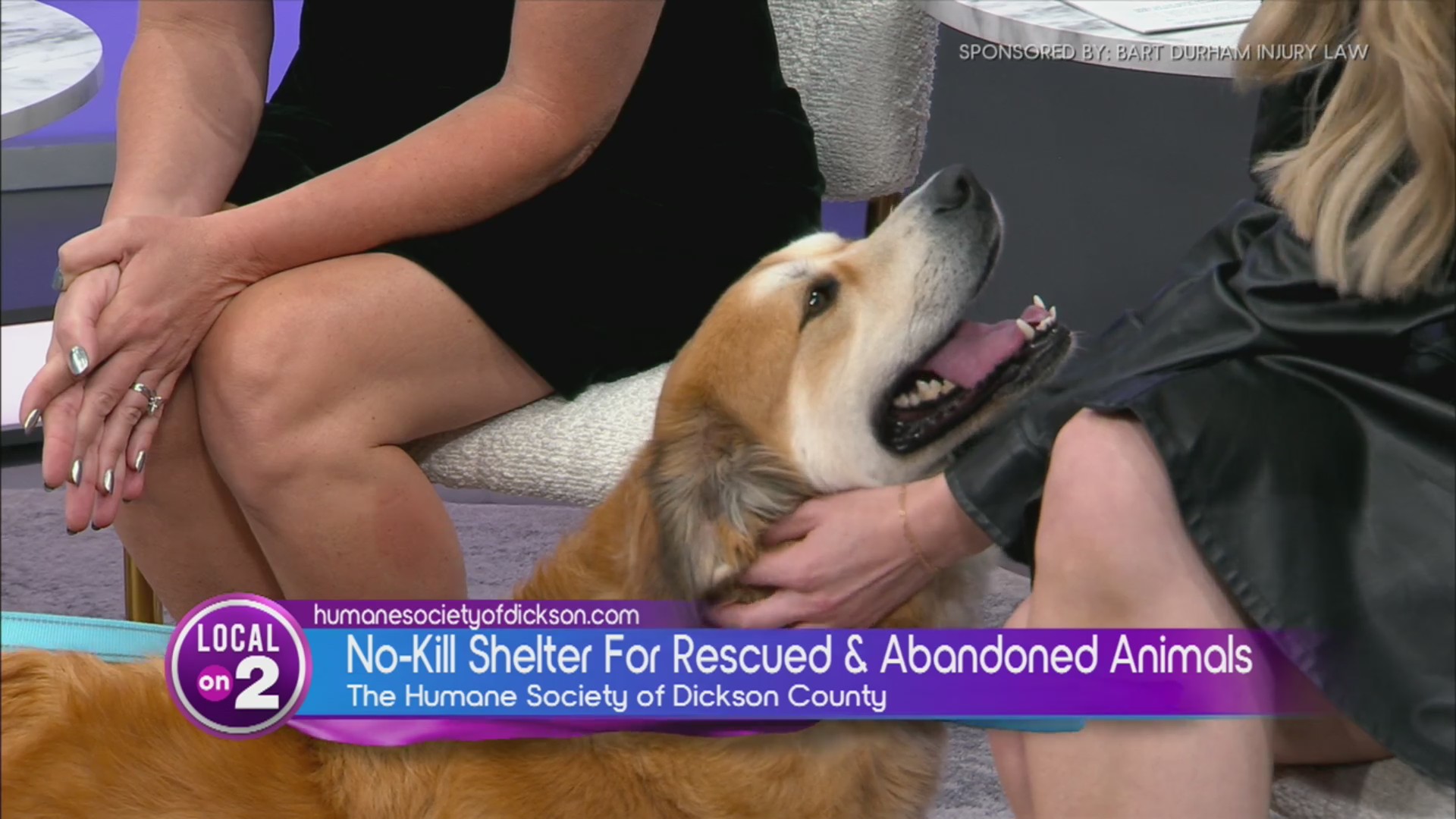 Bart Durham’s Big Giveback: The Humane Society of Dickson County – WKRN ...