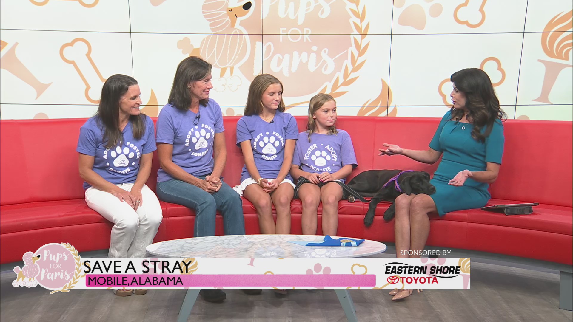 Pups for Paris: Poppy, Gloria, Rex – WKRG News 5