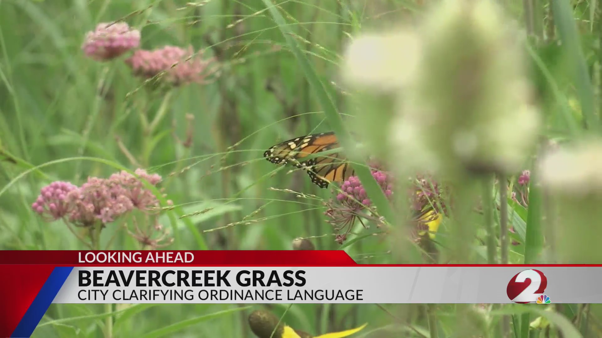 Beavercreek seeks to clarify language of Weed and Grass ordinance ...