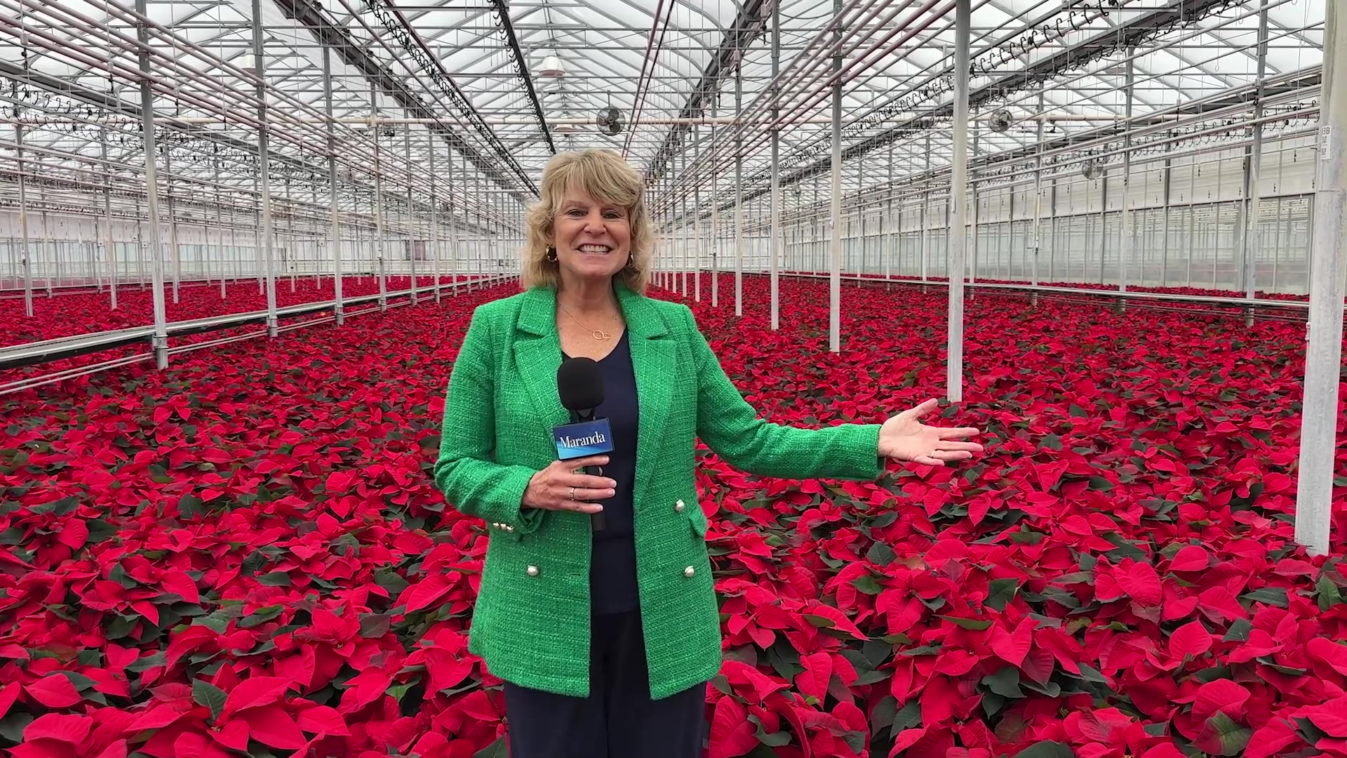 Maranda’s Weekend Fun Guide: Nov. 22-24 – WOODTV.com