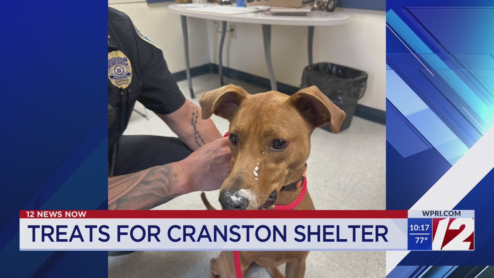 Dunkin’ gives pup cups to dogs at Cranston Animal Shelter – WPRI.com