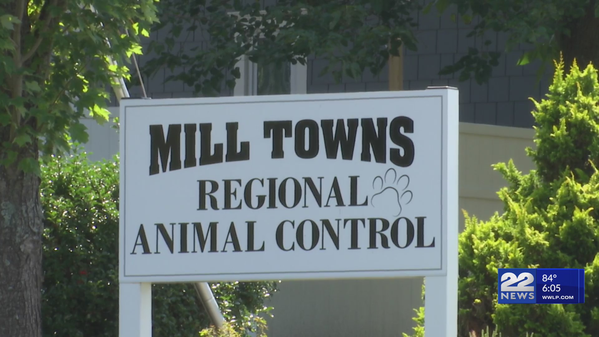 Monson police chief responds to complaints of the Milltown Animal ...